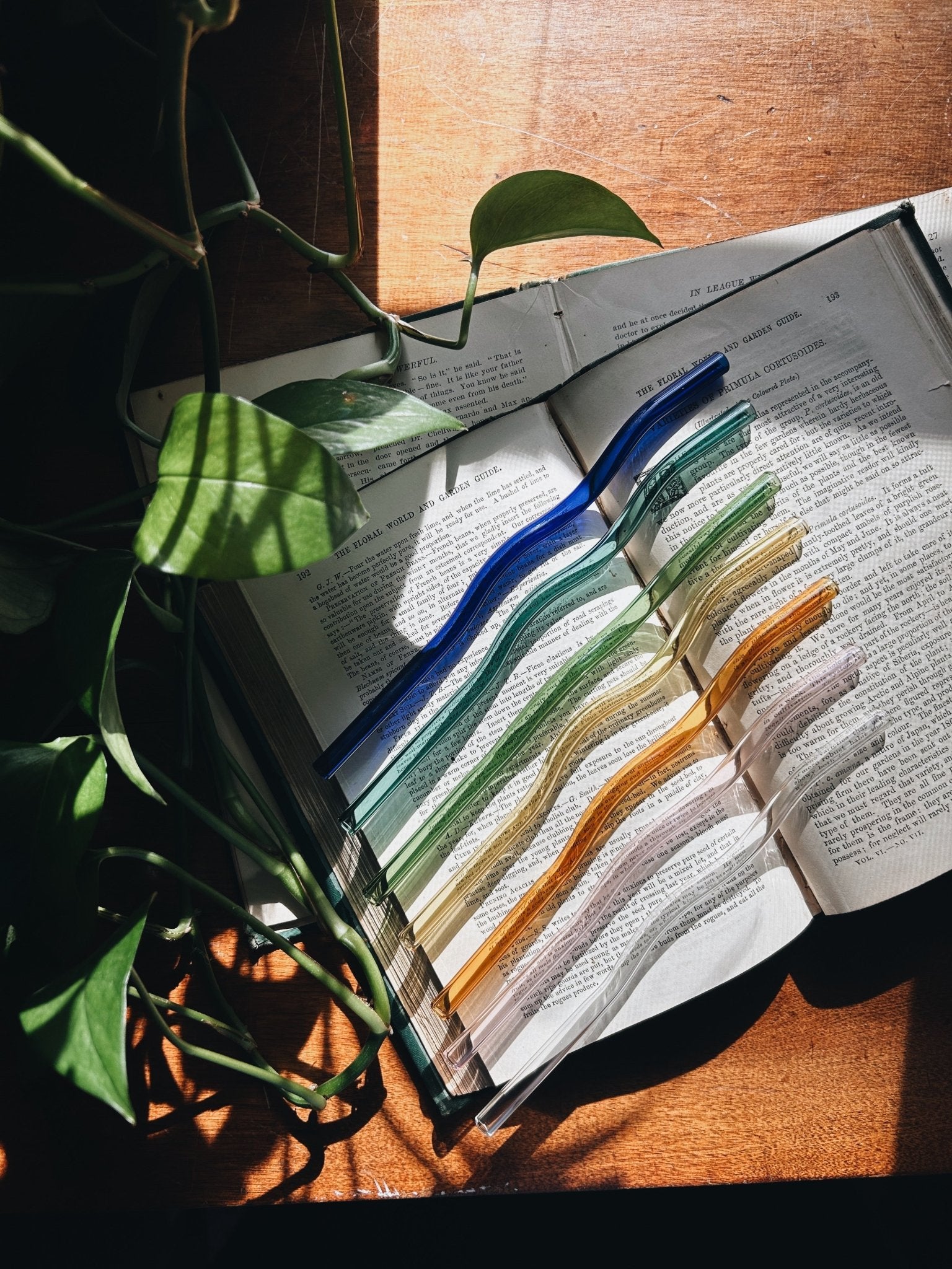 Wiggly Glass Straws – Colorful Reusable Curved Straws – The Pagan Grimoire